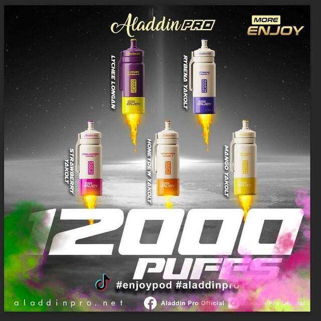 ALADDIN PRO MORE ENJOY 12000 RECHARGEABLE DISPOSABLE – sgvapedisposable
